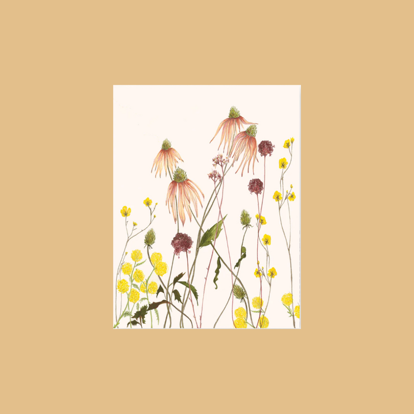 Eve Floral Co.-Cincinnati Wedding and Event Florist | Cincinnati, Ohio ...