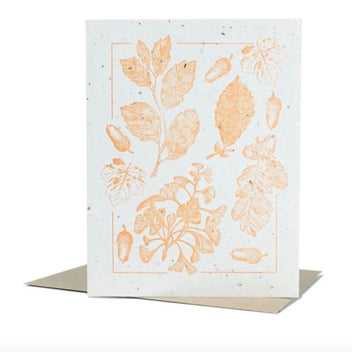 Eve Floral Co.-Cincinnati Wedding and Event Florist | Cincinnati, Ohio ...